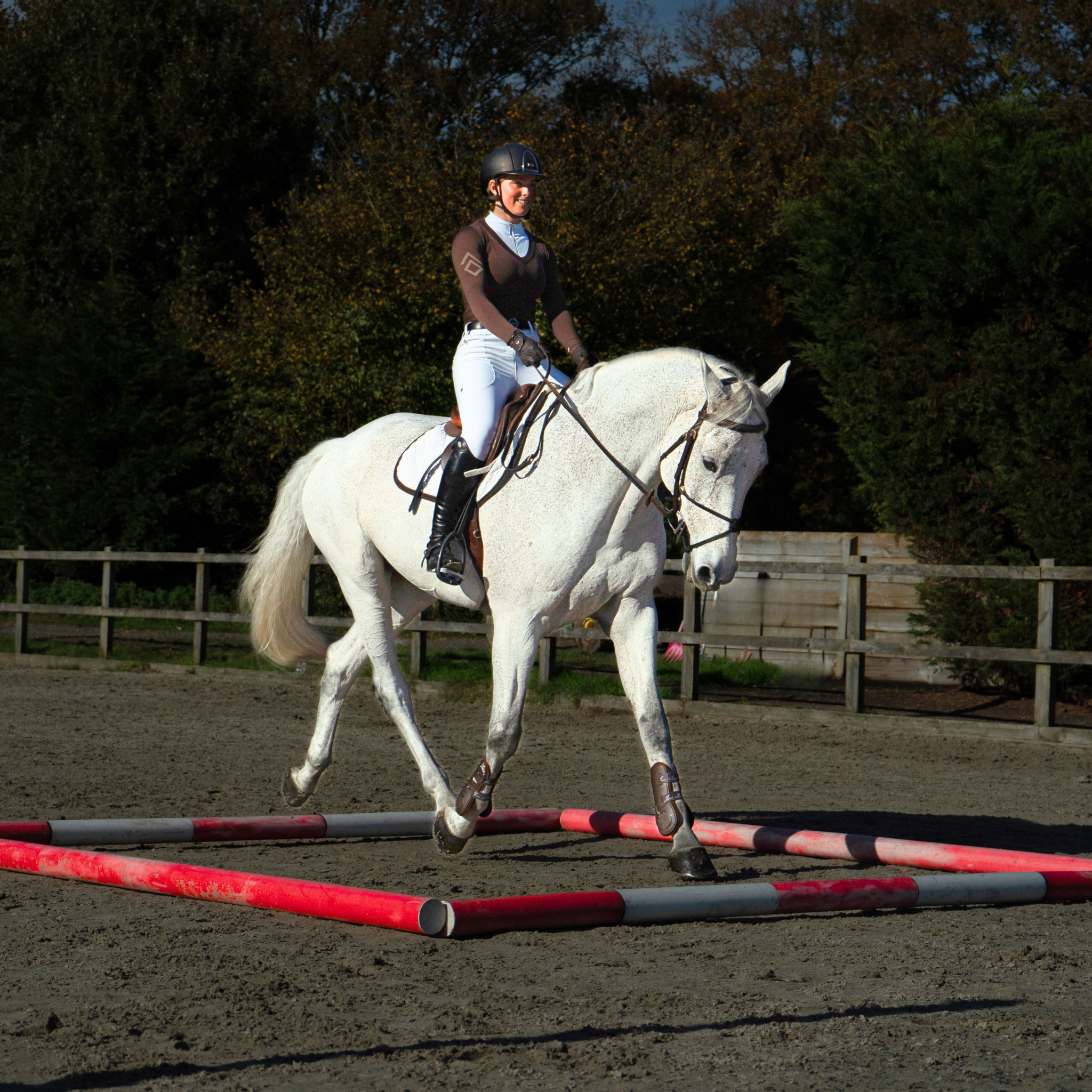 Horse Riding Exercises & Training Books | Learn From An FEI II Coach ...