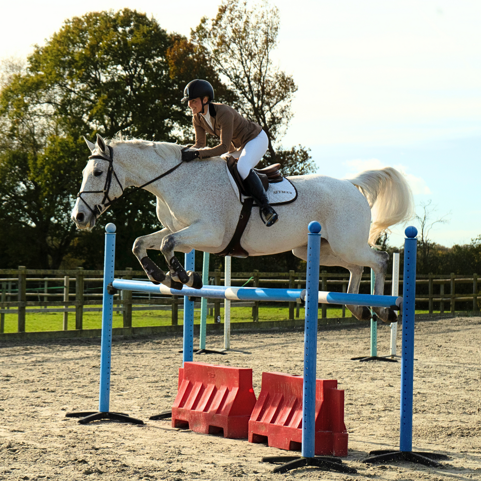 Show Jumping Guide to Seeing Distances (Vol. 1) – Coach Krystal Kelly Books