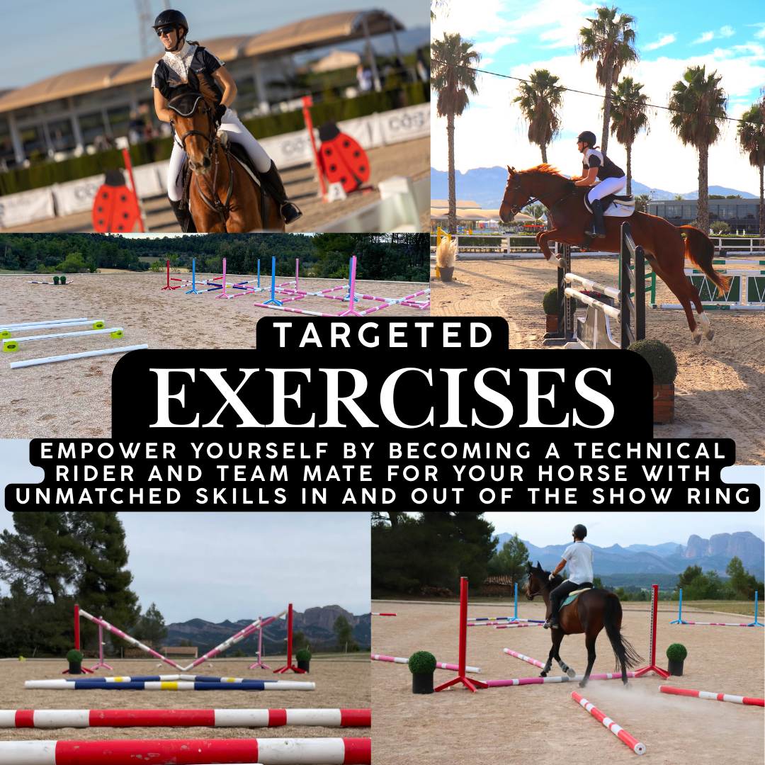 Show Jumping Guide to In & Out Combinations (Vol. 5) – Coach Krystal ...