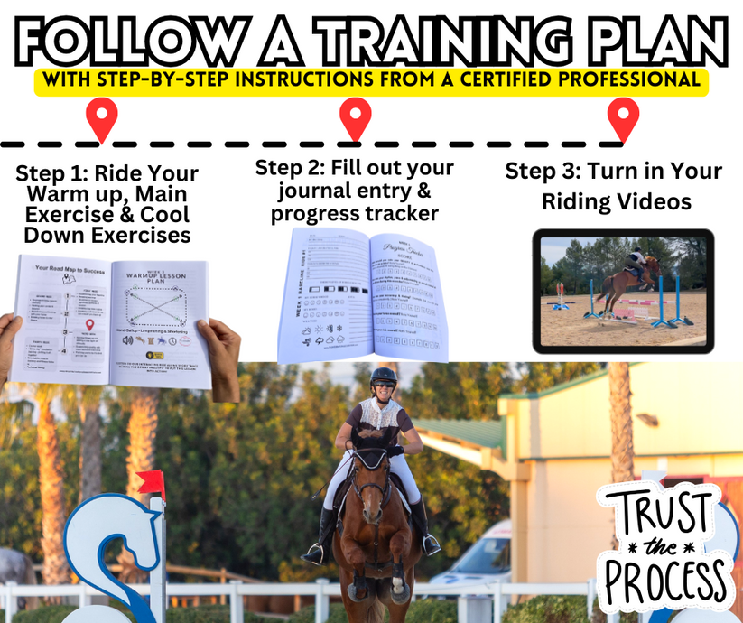 Young Horse 90 Day Training Plan 3 Book Bundle – Coach Krystal Kelly Books